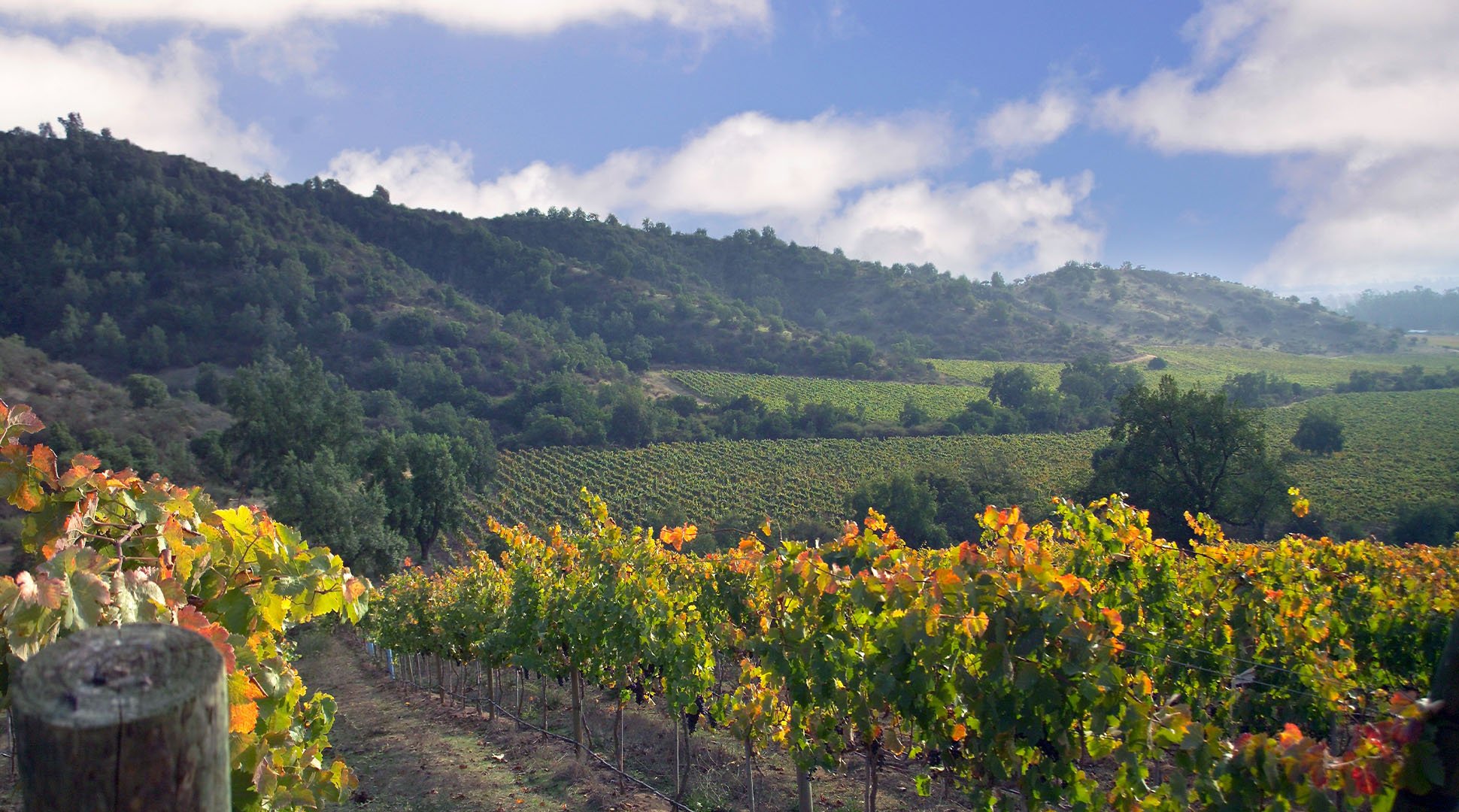 Wine and wildernesses of Chile - SevenTravel